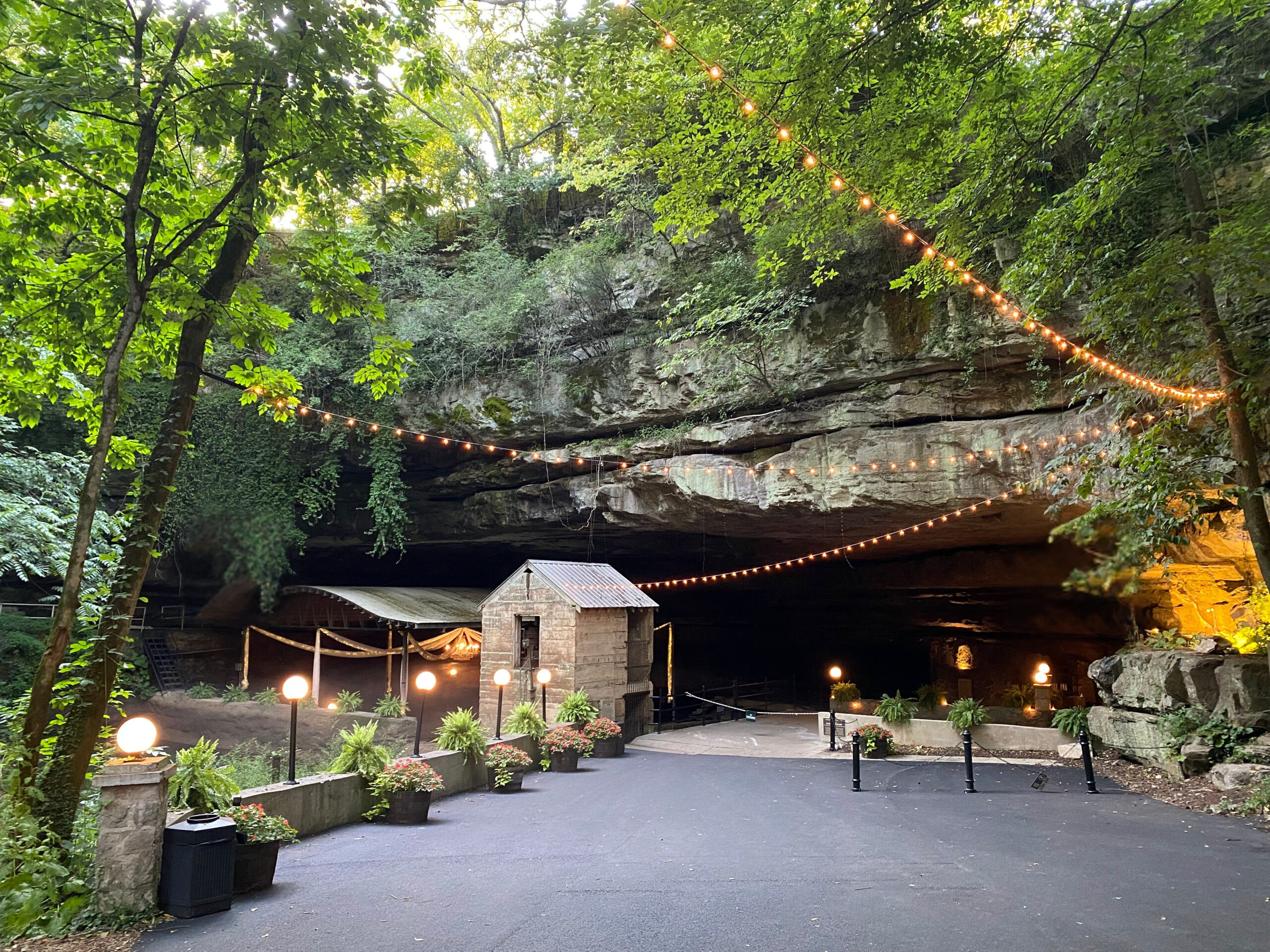 Lost River Cave Underground Boat Tour - Jane's Journeys