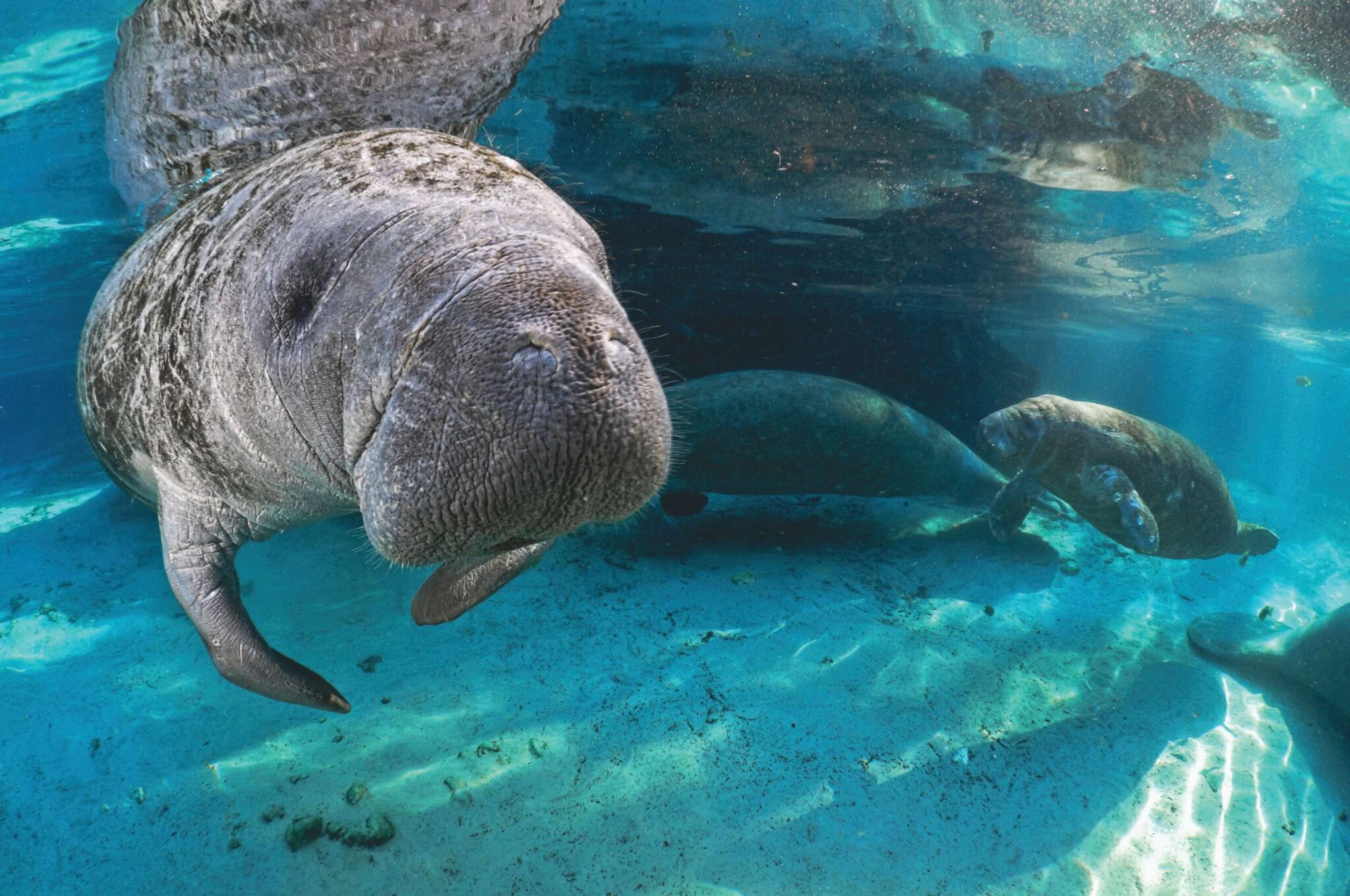 Multi-Day - Jane's Journeys